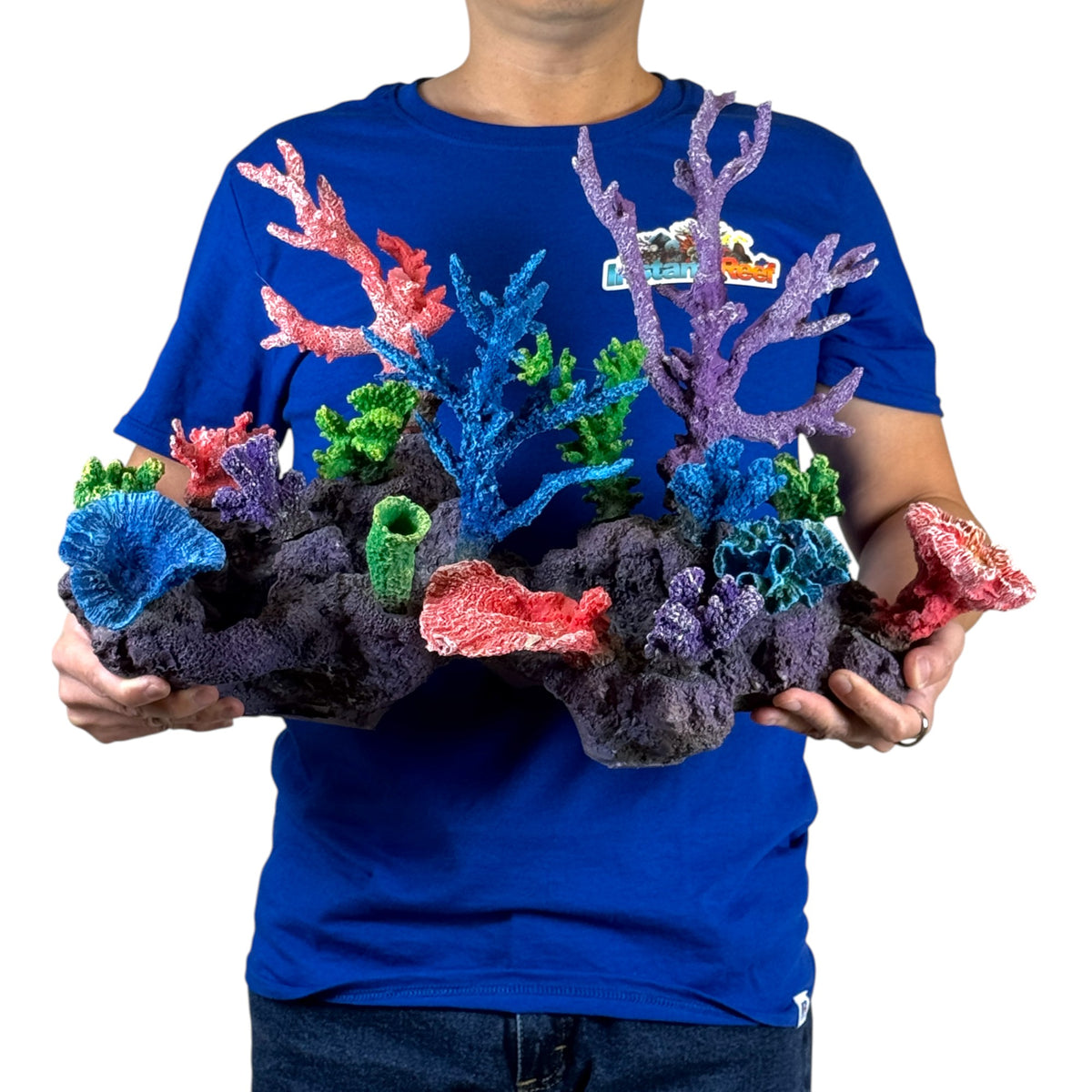 PNP630A X-Large Reef Tank Decoration for Saltwater Fish Aquariums