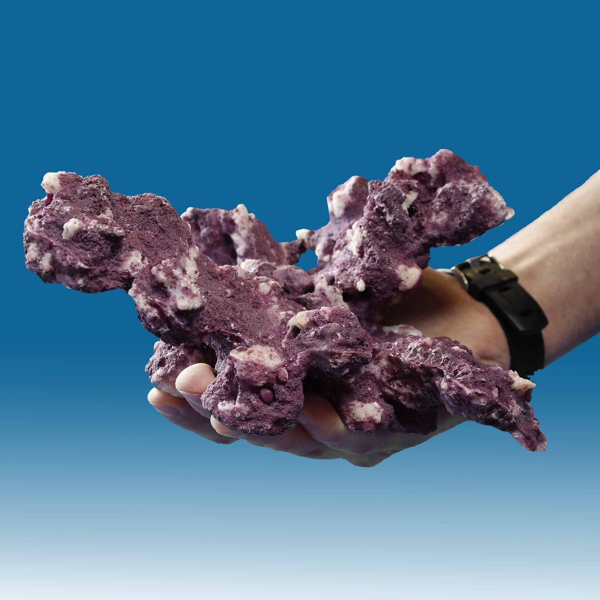 Z001 Artificial Live Rock with Purple Coralline Algae