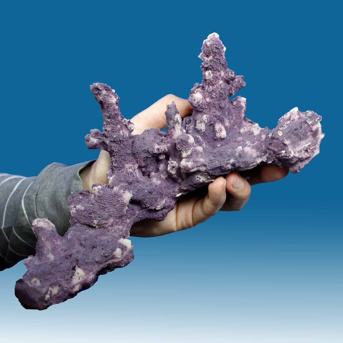 Z005 Artificial Live Rock with Purple Coralline Algae
